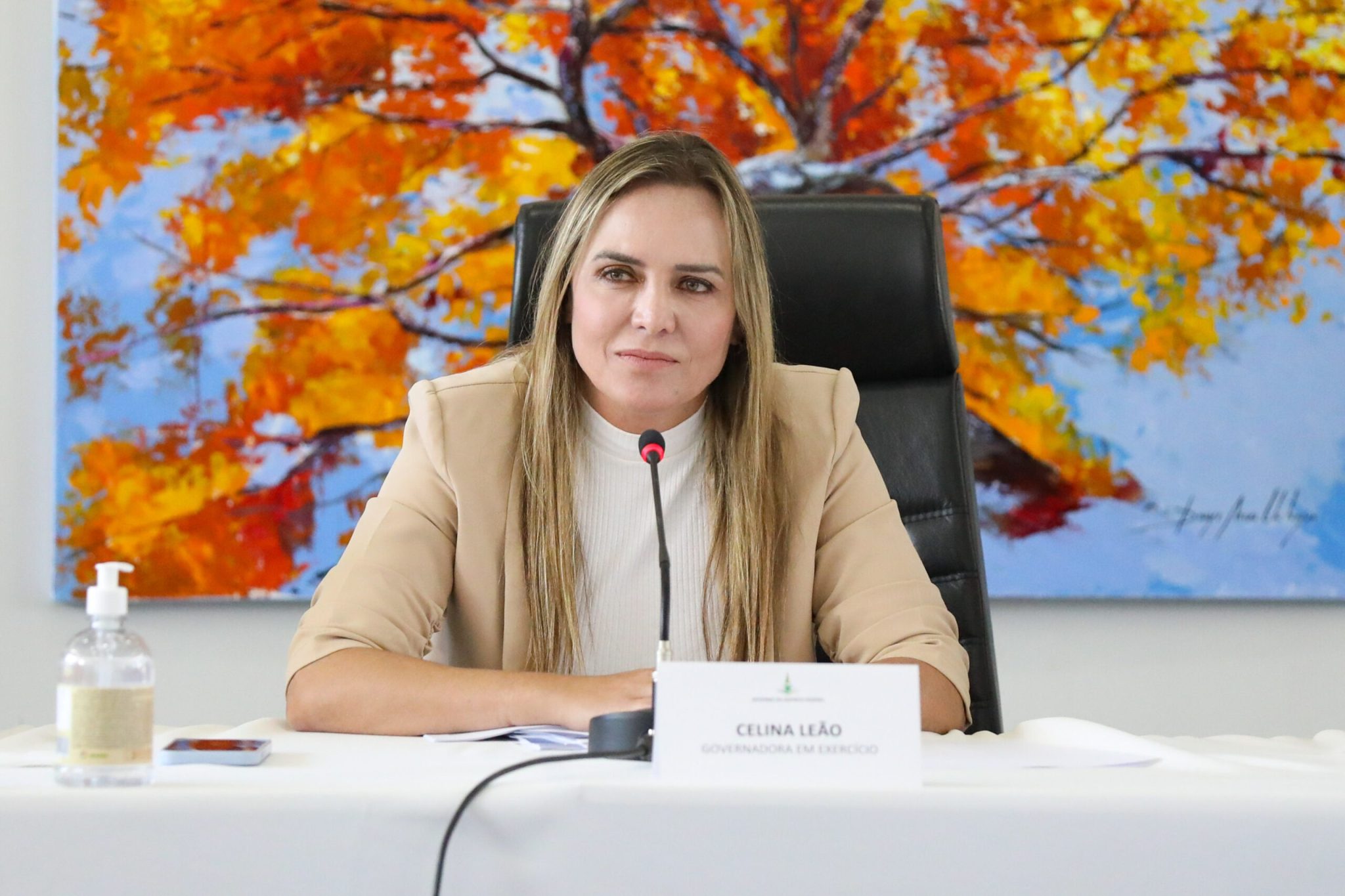 O Protagonismo de Celina Leão no combate à violência contra a mulher no ...